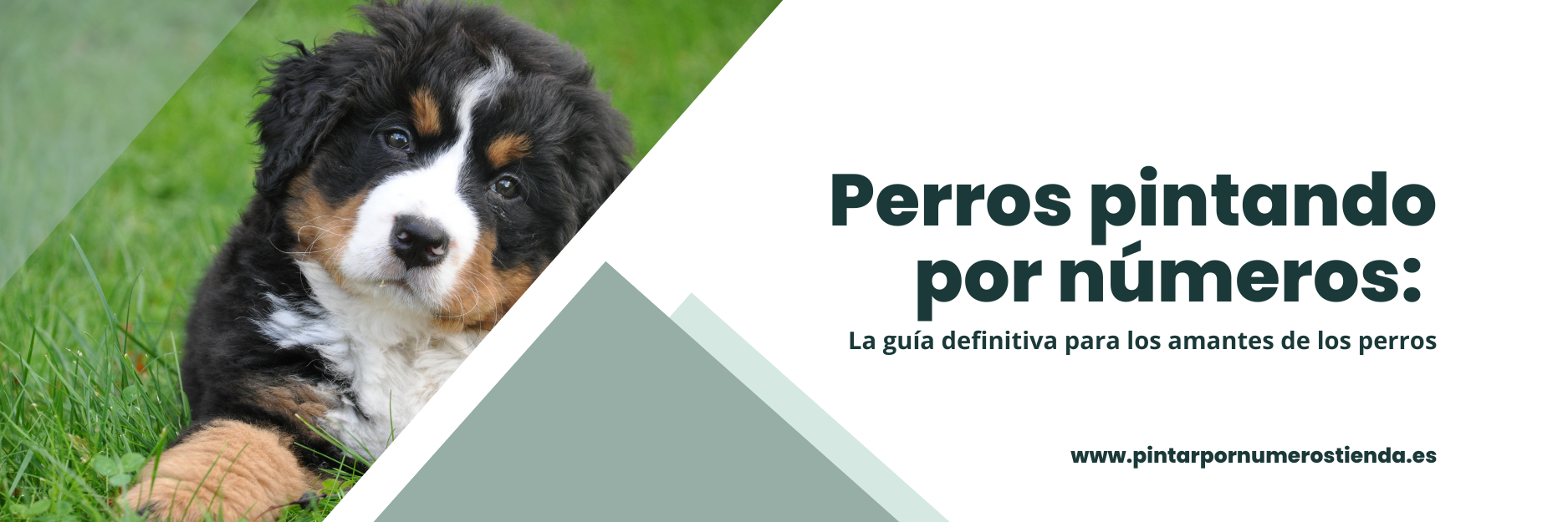 Pintar perros por números: Crea tu propio arte canino